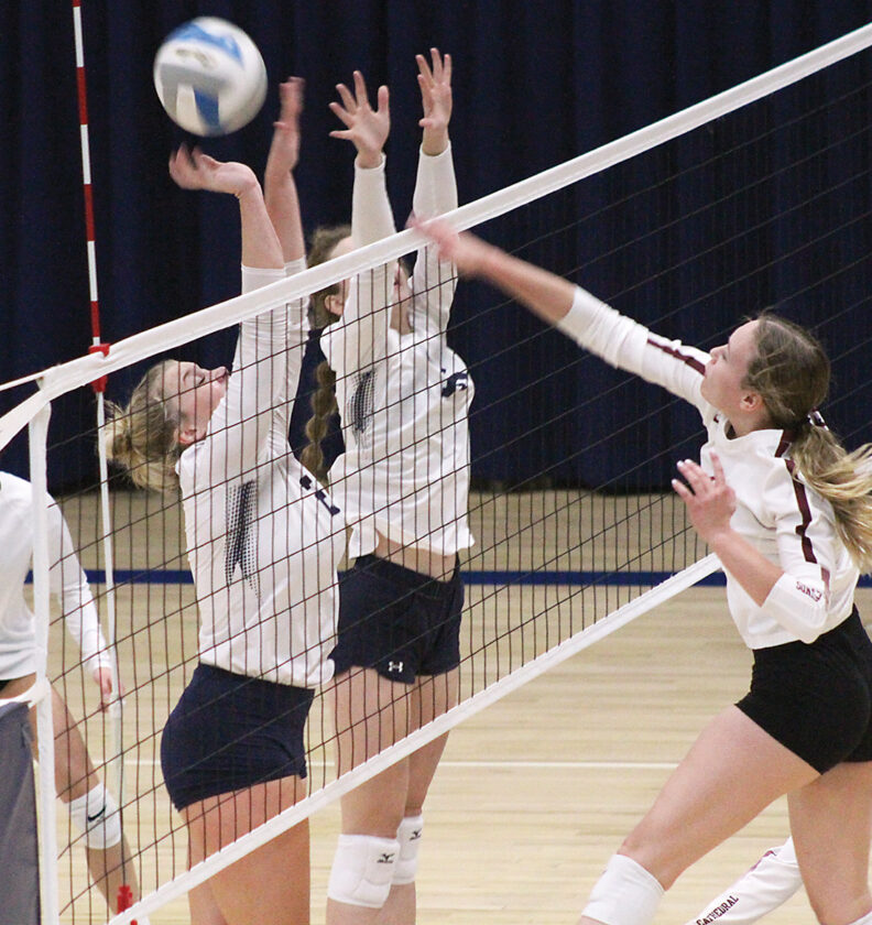 Greyhounds surge back in Set 1, earn sweep over Cougars | News, Sports ...